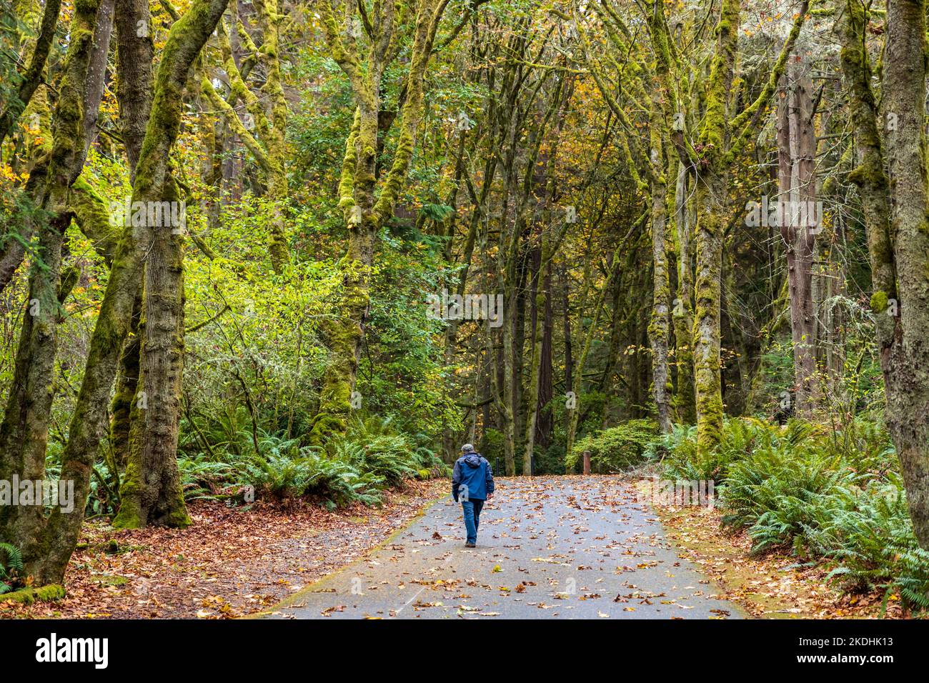 Point defiance park hi-res stock photography and images - Alamy