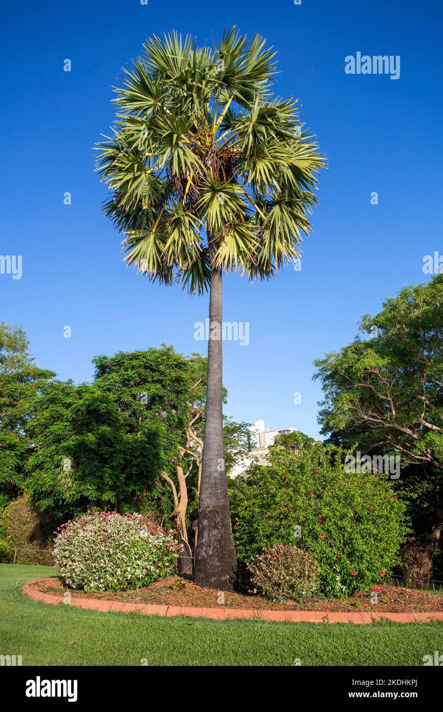 The Bicentennial Park, also called The Esplanade, is a large parkland ...