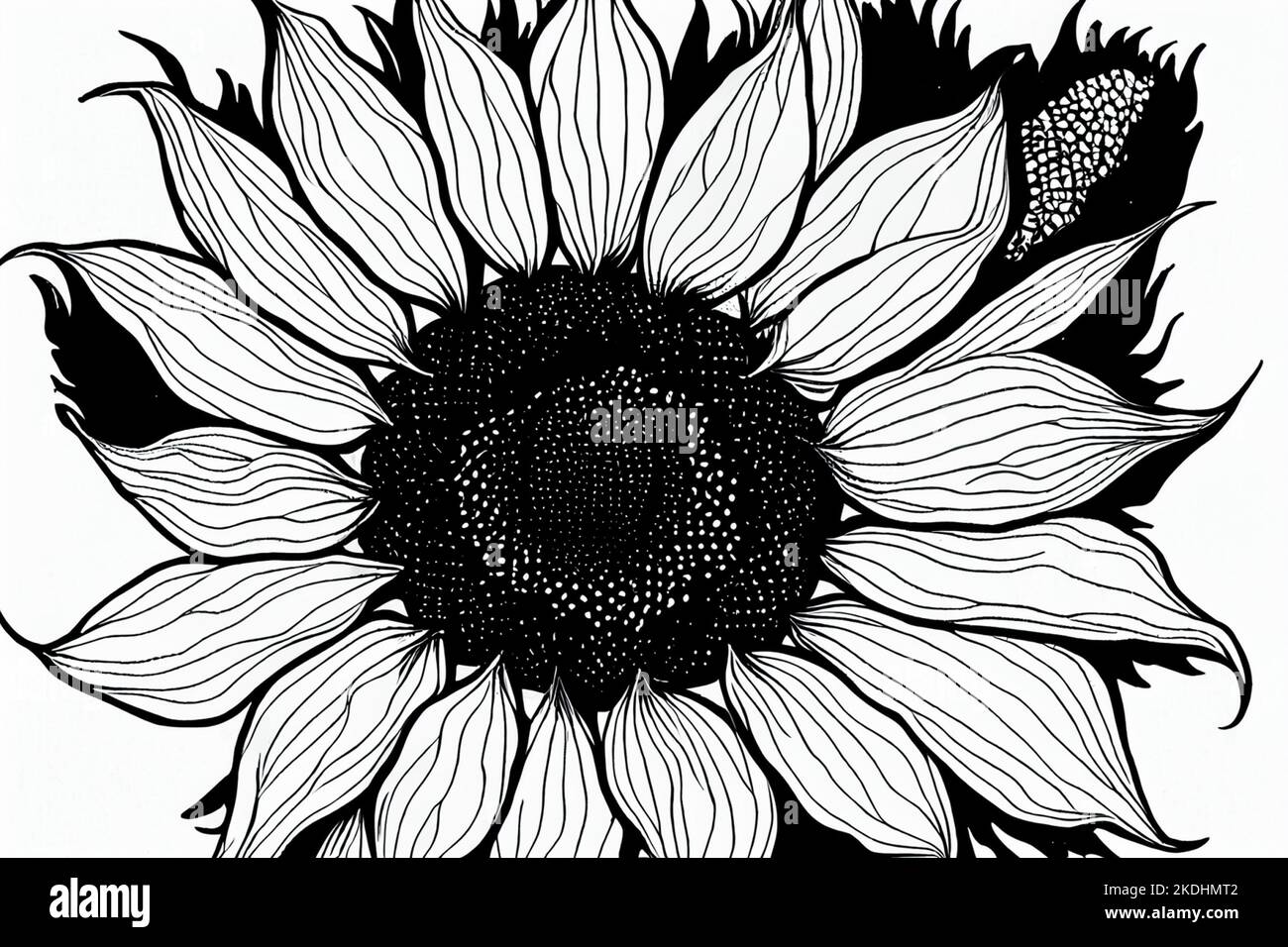 Line art drawing illustration, black and white with crisp lines. A ...
