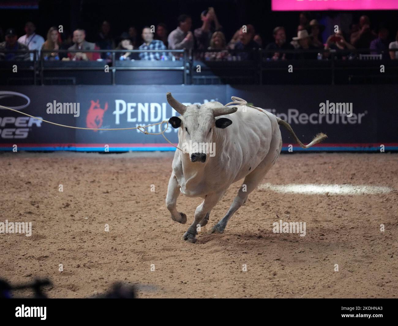 LAS VEGAS, NV - NOVEMBER 6: Cody Jesus takes his best shot at an :08 ...