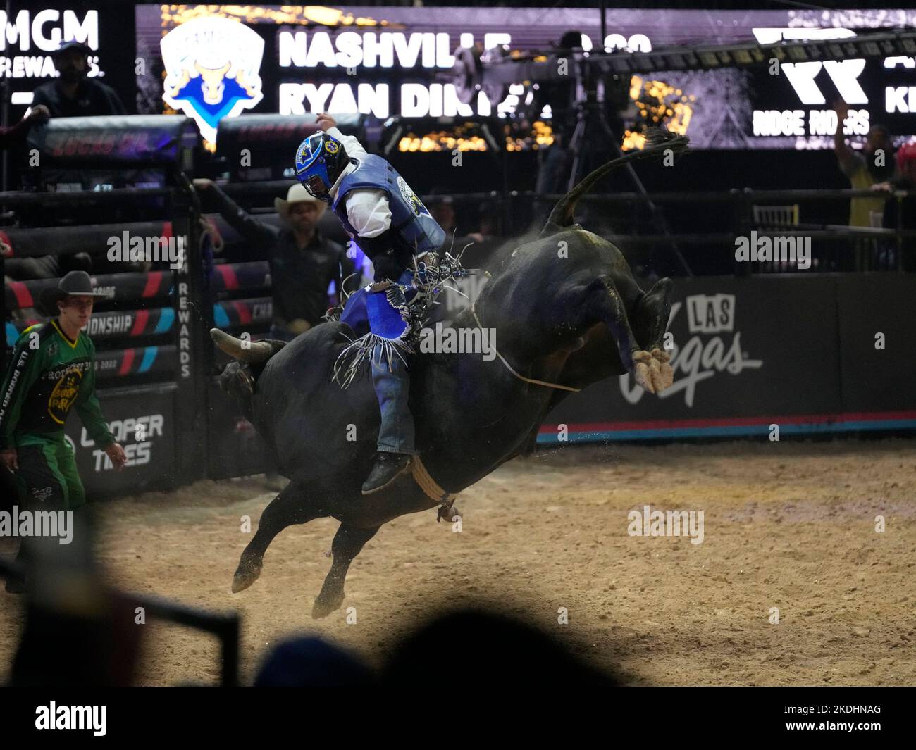 Ryan bull hi-res stock photography and images - Alamy