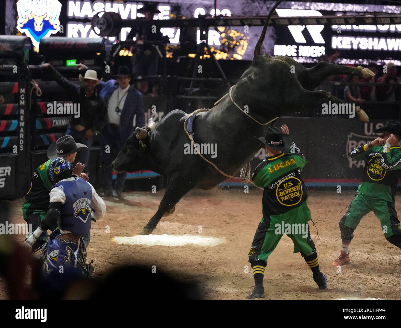 Ryan bull hi-res stock photography and images - Alamy