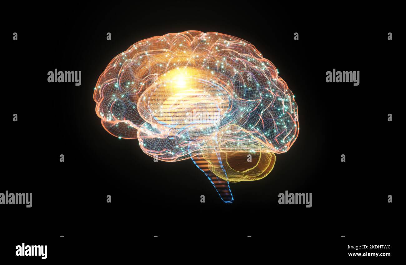 3d illustration of wireframe digital human brain on black background. Intelligence, Brainstorm ...