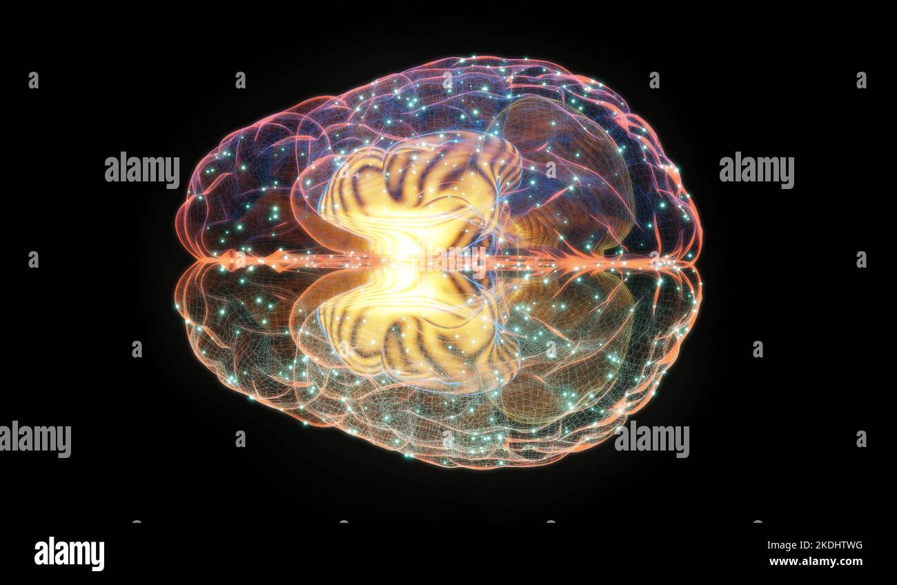 3d illustration of wireframe digital human brain on black background. Intelligence, Brainstorm ...