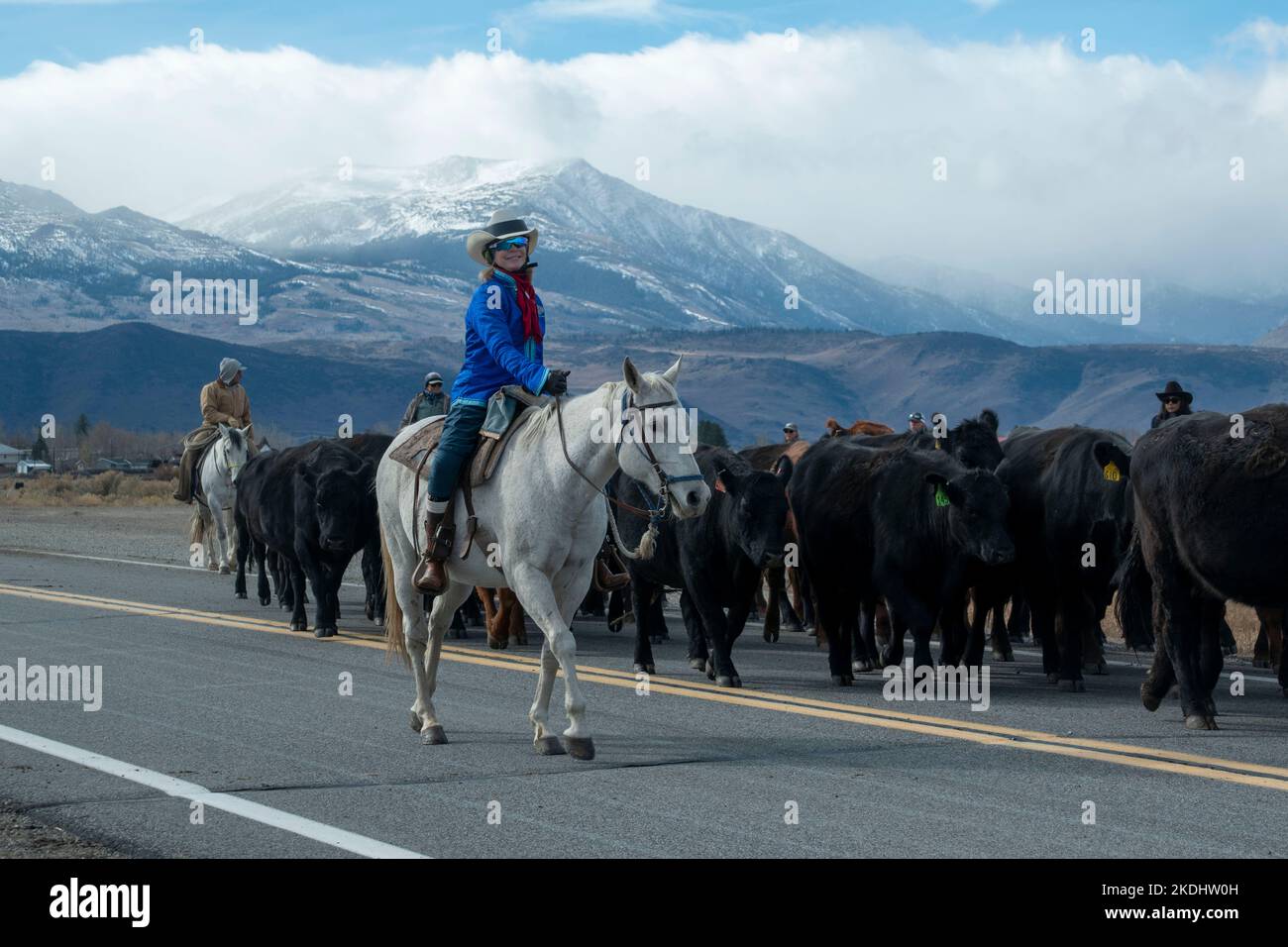 The Hunewill Ranch Cattle Drive happens every year in November out of ...