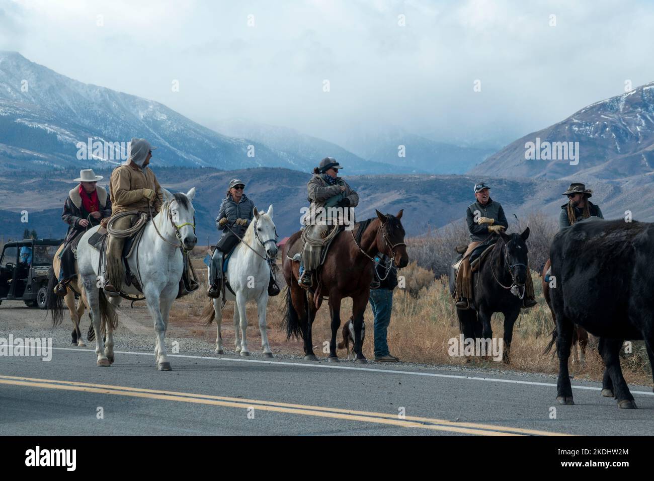 The Hunewill Ranch Cattle Drive happens every year in November out of ...