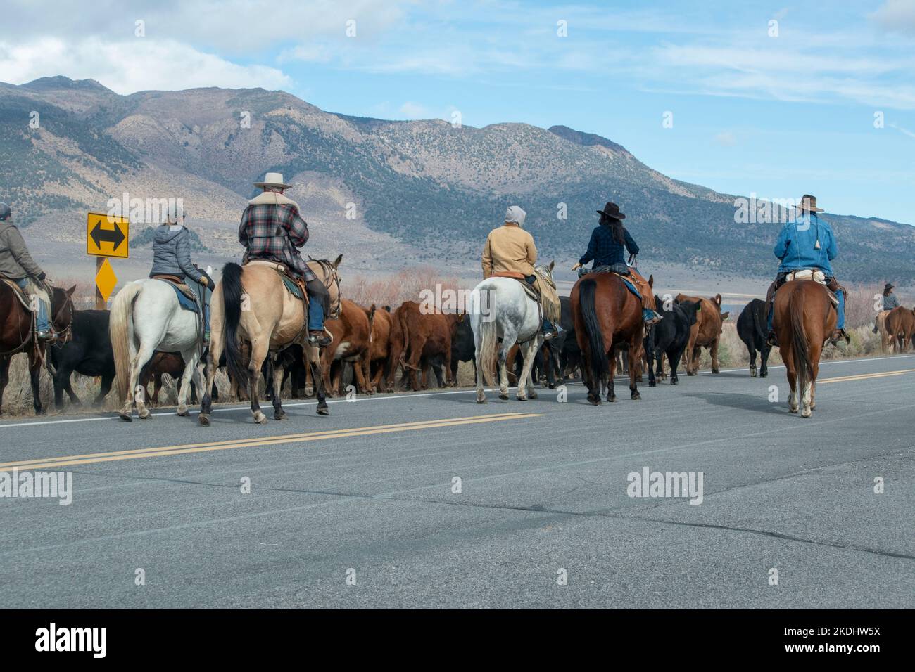 The Hunewill Ranch Cattle Drive happens every year in November out of ...