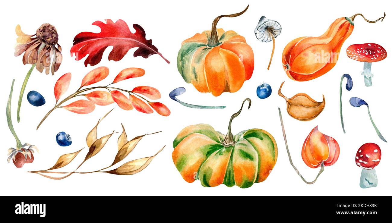 Set of colorful autumn leaves and pumpkins watercolor illustration ...