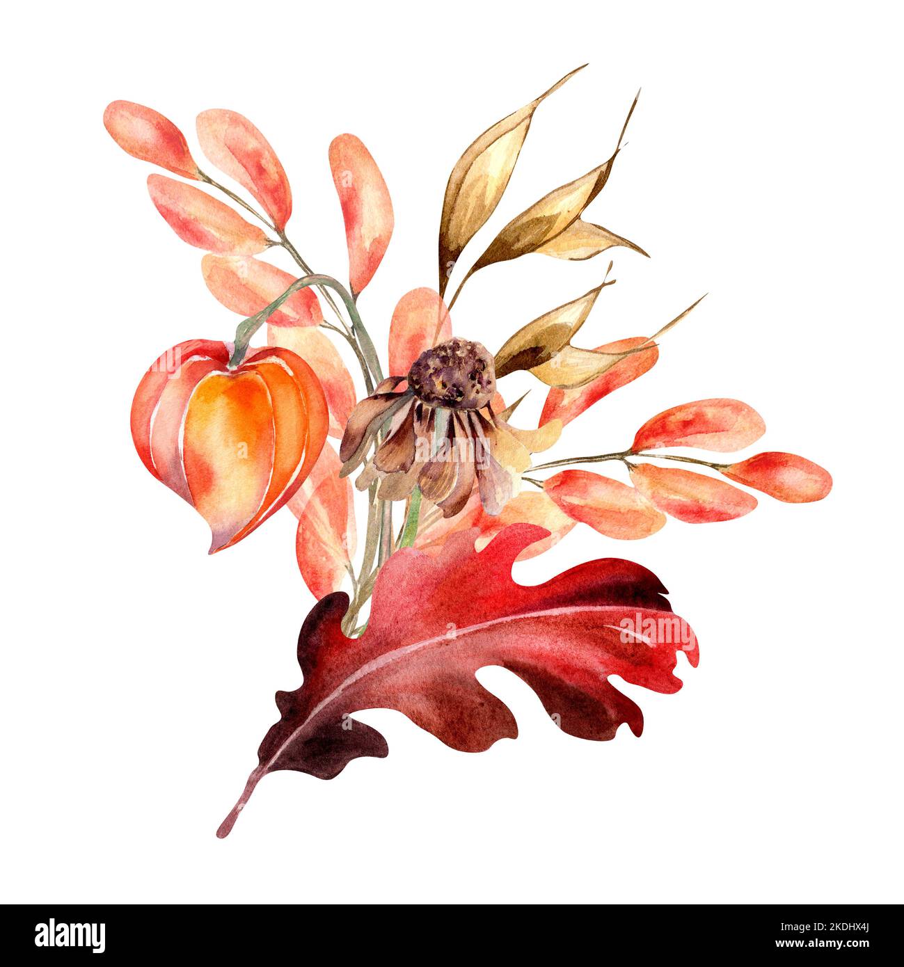 Bright fall composition with dried plants watercolor illustration ...