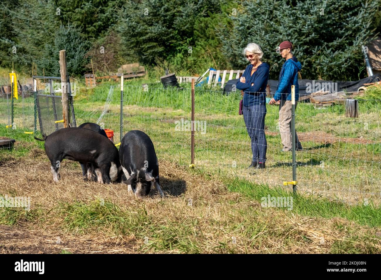 Chimacum, Washington, USA. 9/18/22 Mature man and woman looking at ...