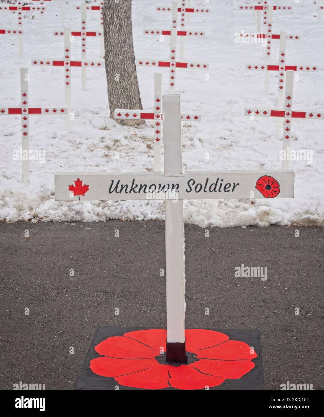 Remembrance Day Calgary Alberta Stock Photo - Alamy