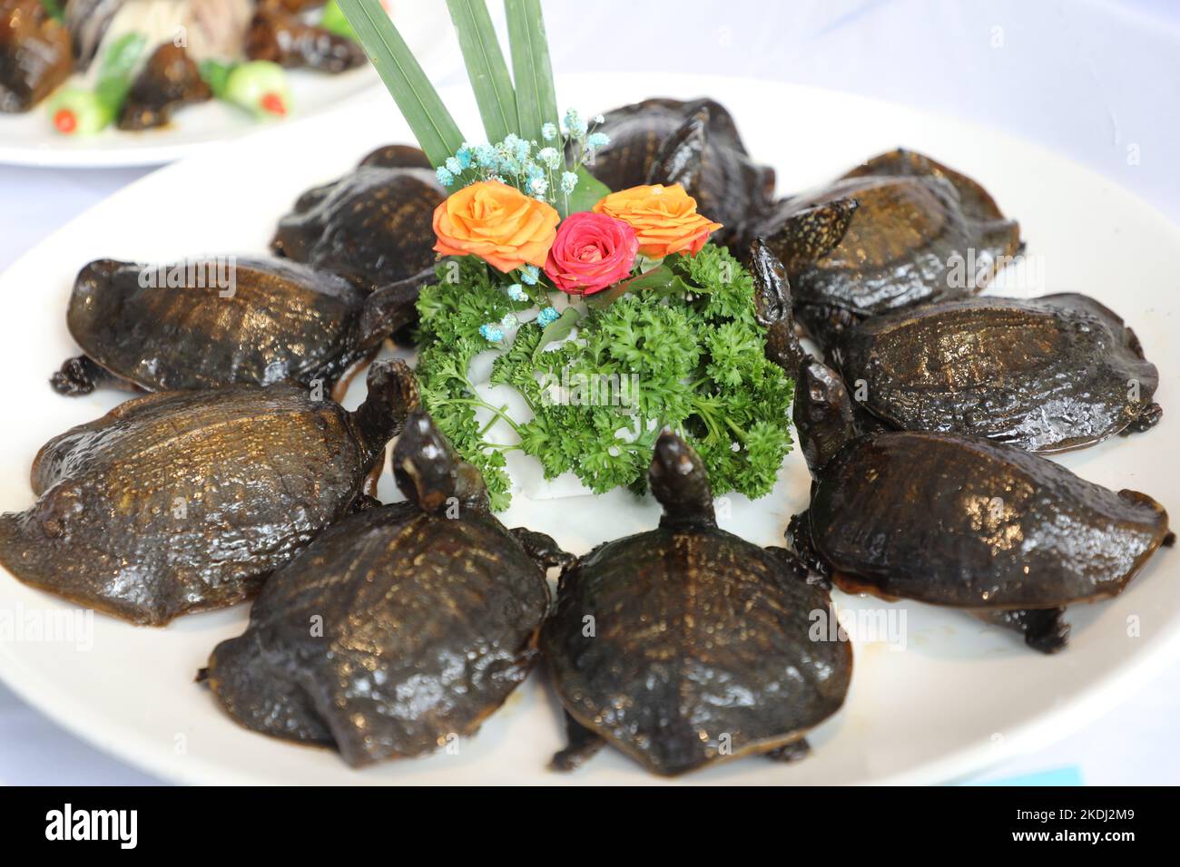 Sixteen teams across the country make 128 turtle dishes to compete in ...