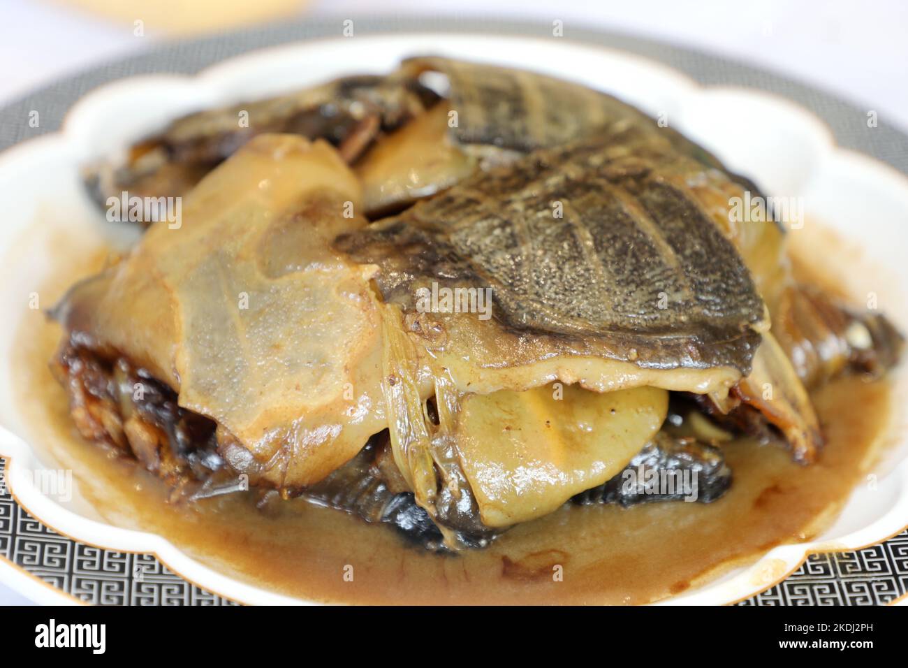 Sixteen teams across the country make 128 turtle dishes to compete in ...