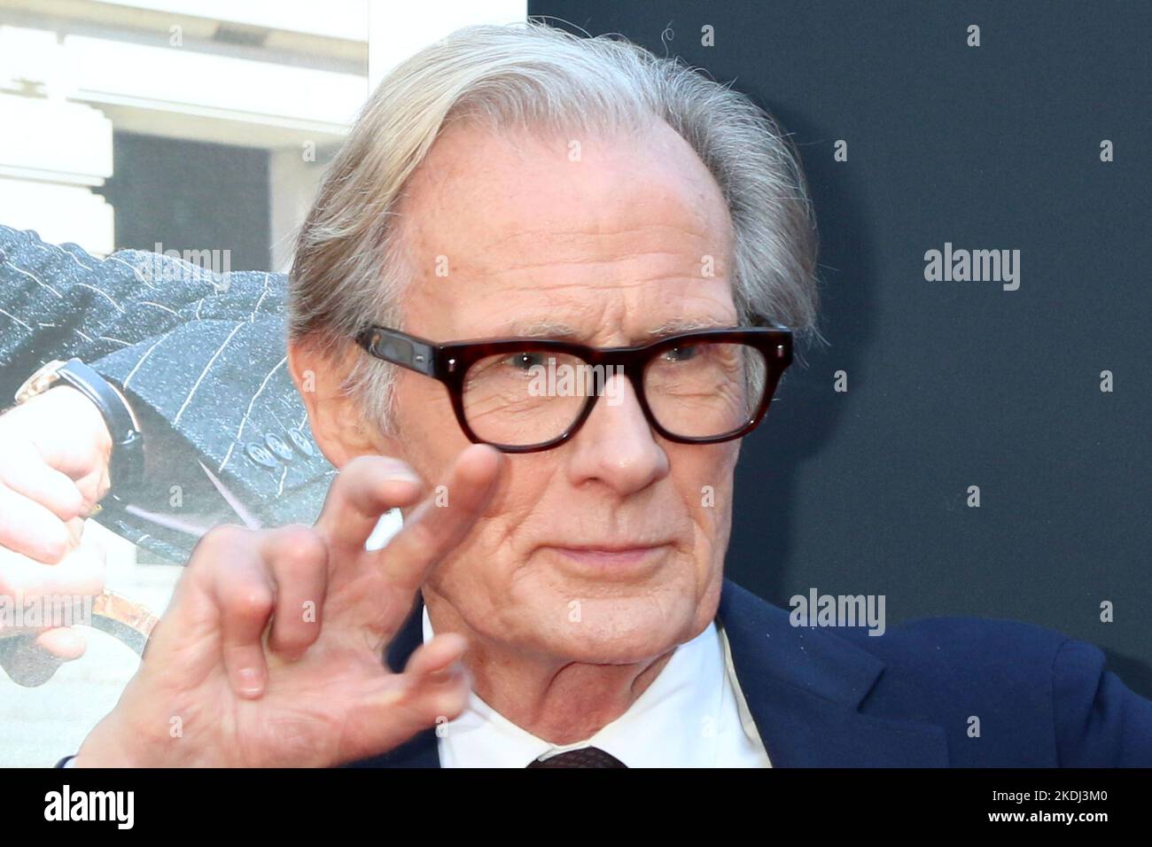 LOS ANGELES - NOV 5: Bill Nighy at the AFI Fest - Living Screening at ...
