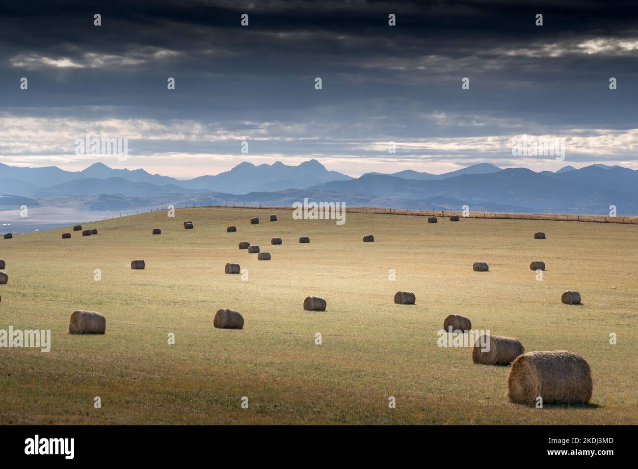 Round hay bales sit on a harvested field overlooking the Canadian ...