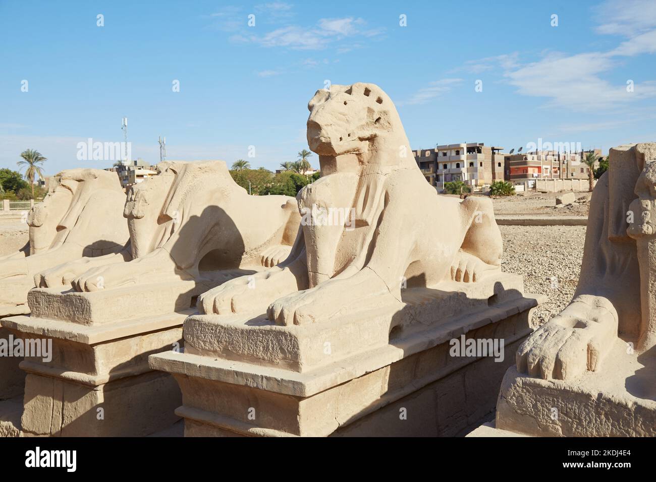 Sphinx line hi-res stock photography and images - Alamy