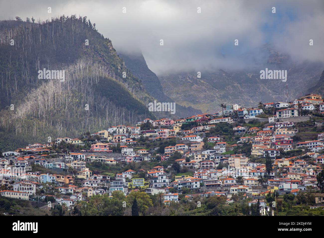 Funchal capital city on Madeira island Stock Photo - Alamy