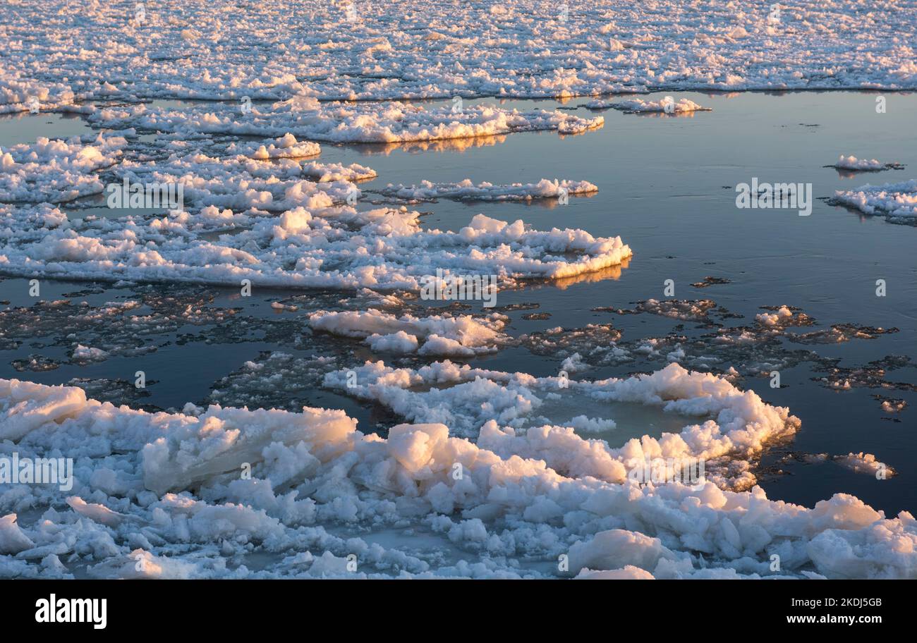 HEILONGJIANG, CHINA - NOVEMBER 7, 2022 - Photo taken on Nov 7, 2022 ...
