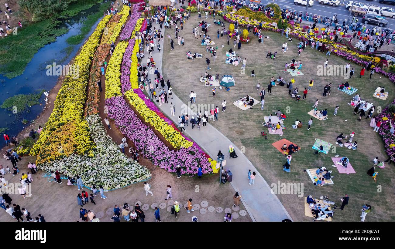 Aerial photos show the 39th Golden Autumn Chrysanthemum Exhibition attracting a large number of ...