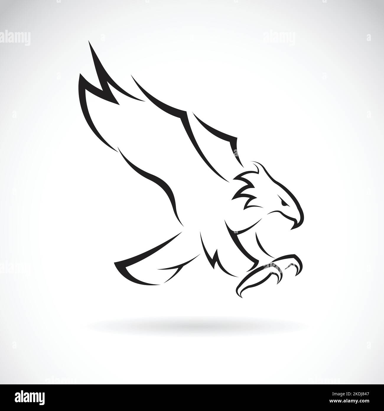 Vector image of an eagle design on white background. Easy editable ...