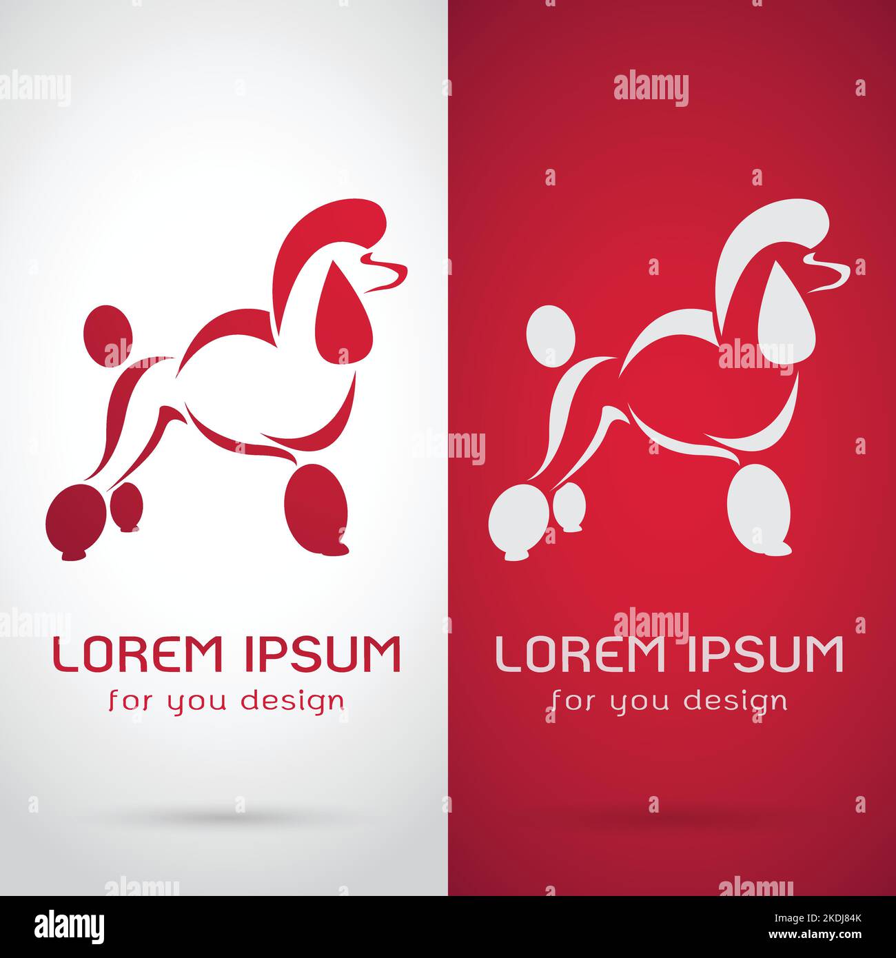 Vector image of poodle dog design on white background and red ...