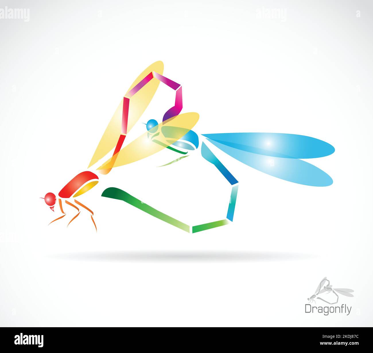 Two colorful dragonfly breeding on a white background. Easy editable ...