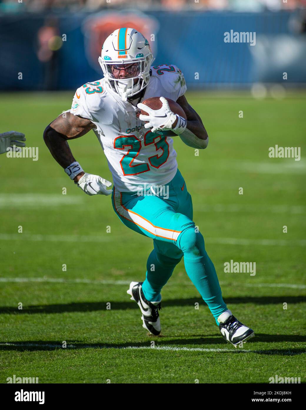 Jeff wilson dolphins hi-res stock photography and images - Alamy