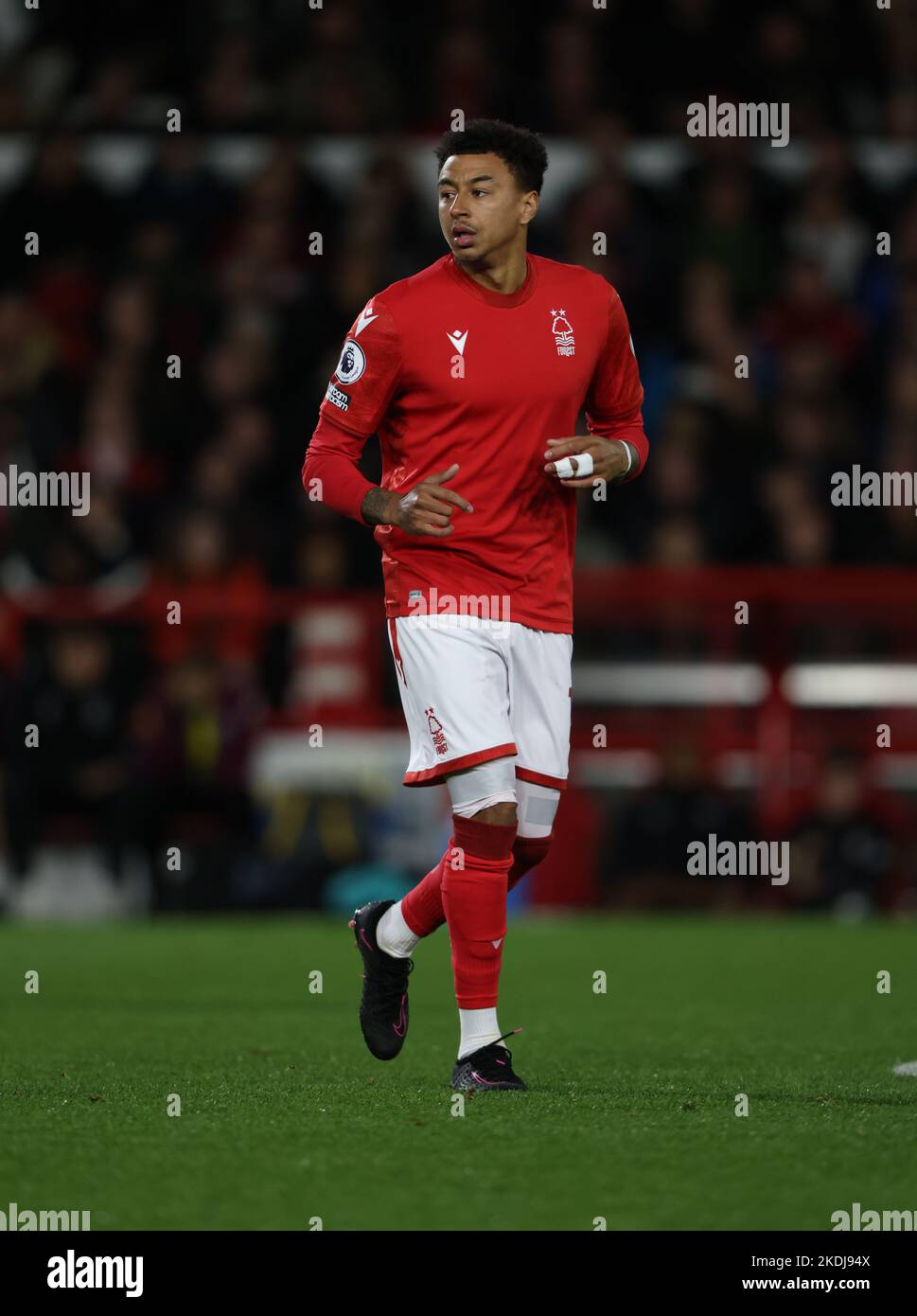 Jesse lingard forest hi-res stock photography and images - Alamy