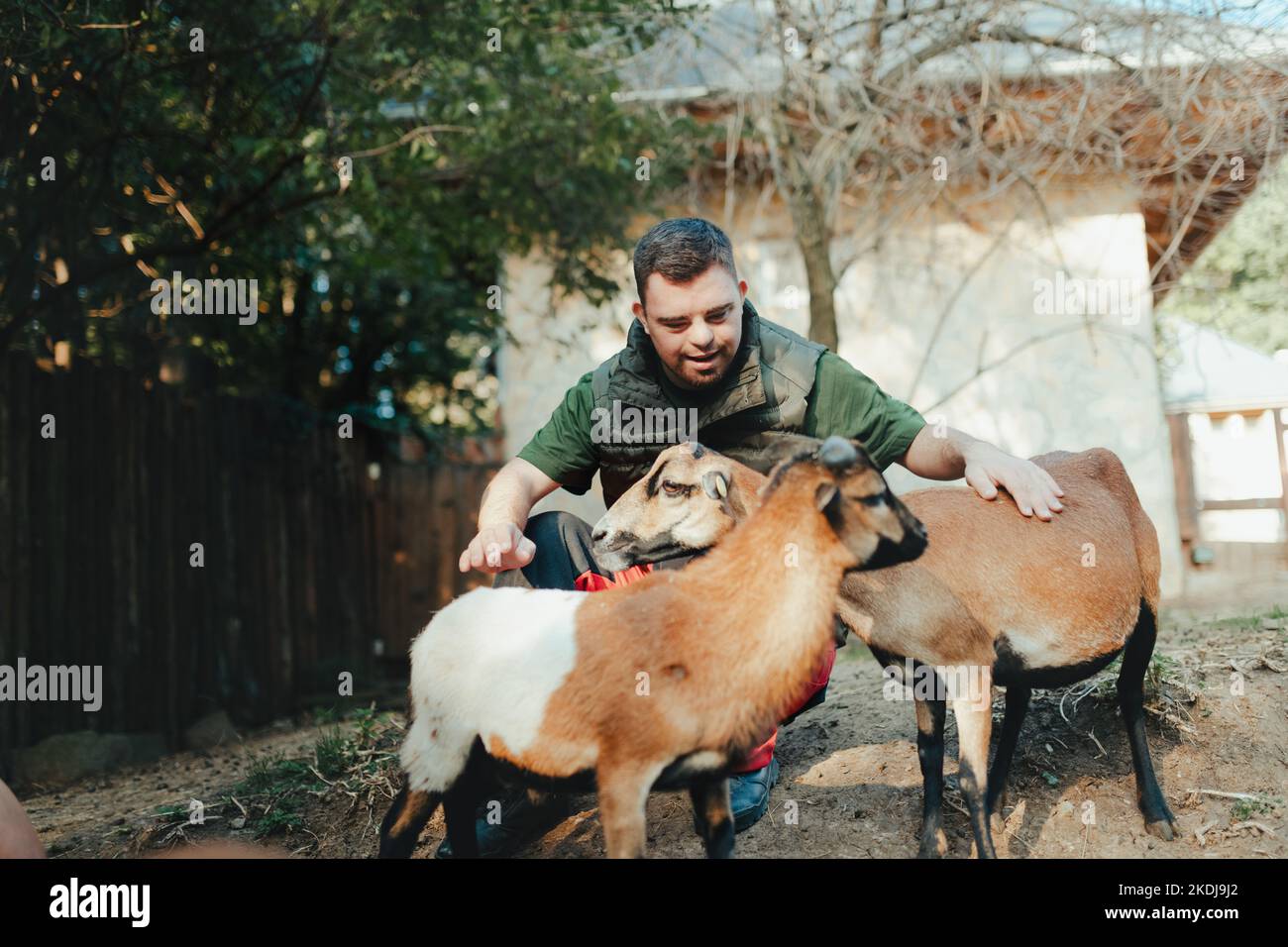 Caretaker with down syndrome taking care of animals in zoo, stroking ...