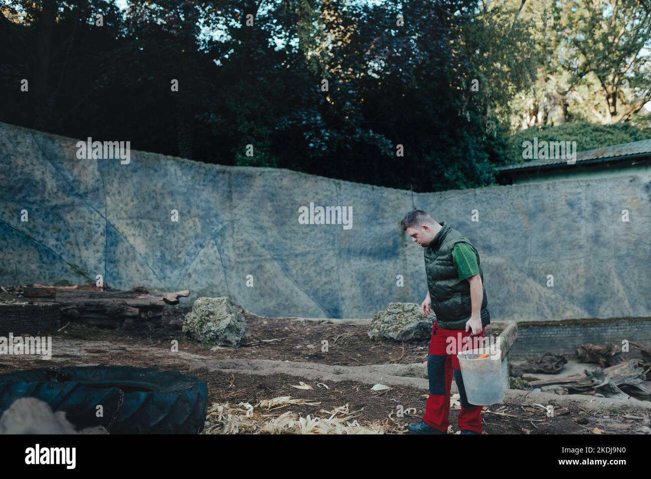 Caretaker with down syndrome in zoo giving food in animal enclosure ...