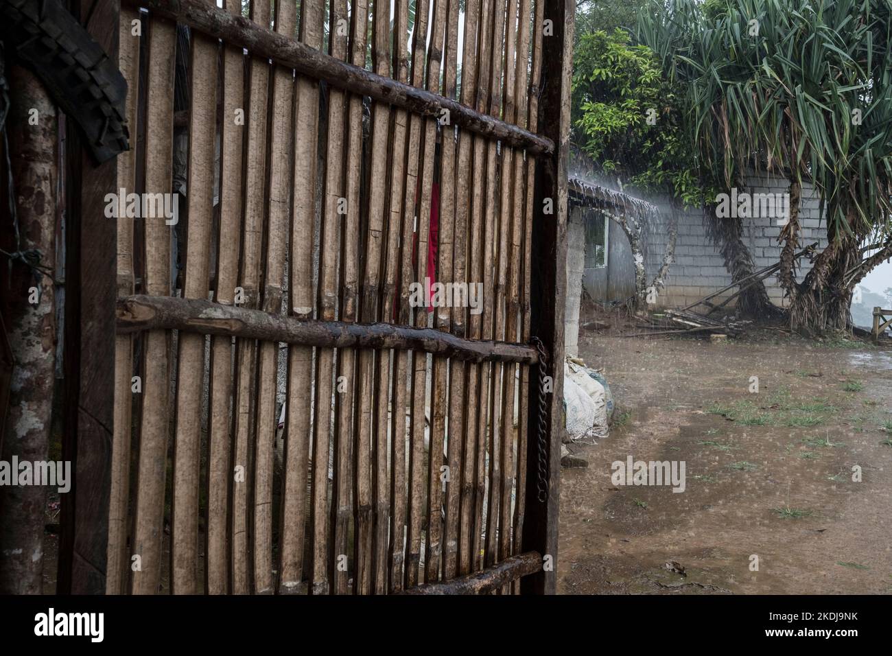 Aetas tribe, Negros island, Philippines Stock Photo - Alamy
