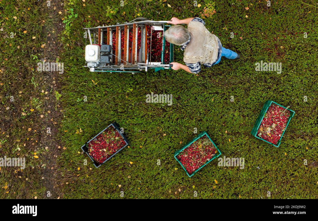 Cranberry harvesting machine hi-res stock photography and images - Alamy