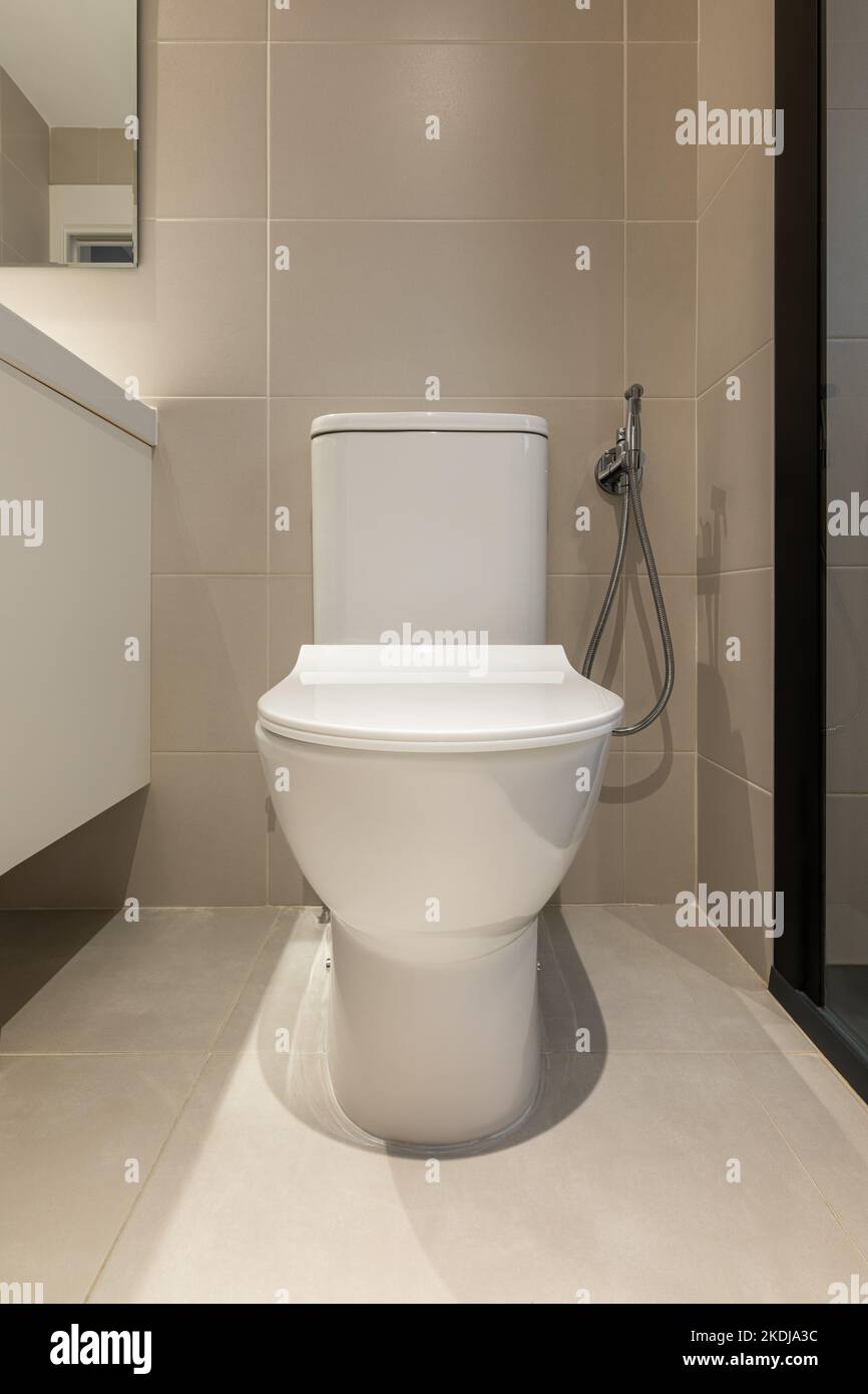 Front view of white toilet bowl in a modern bathroom. Sanitary ...