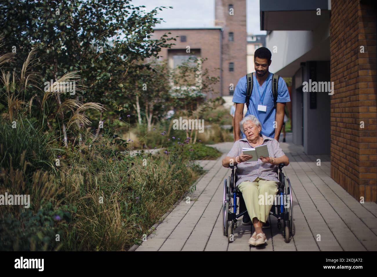 Old man pushing wheelchair hi-res stock photography and images - Alamy