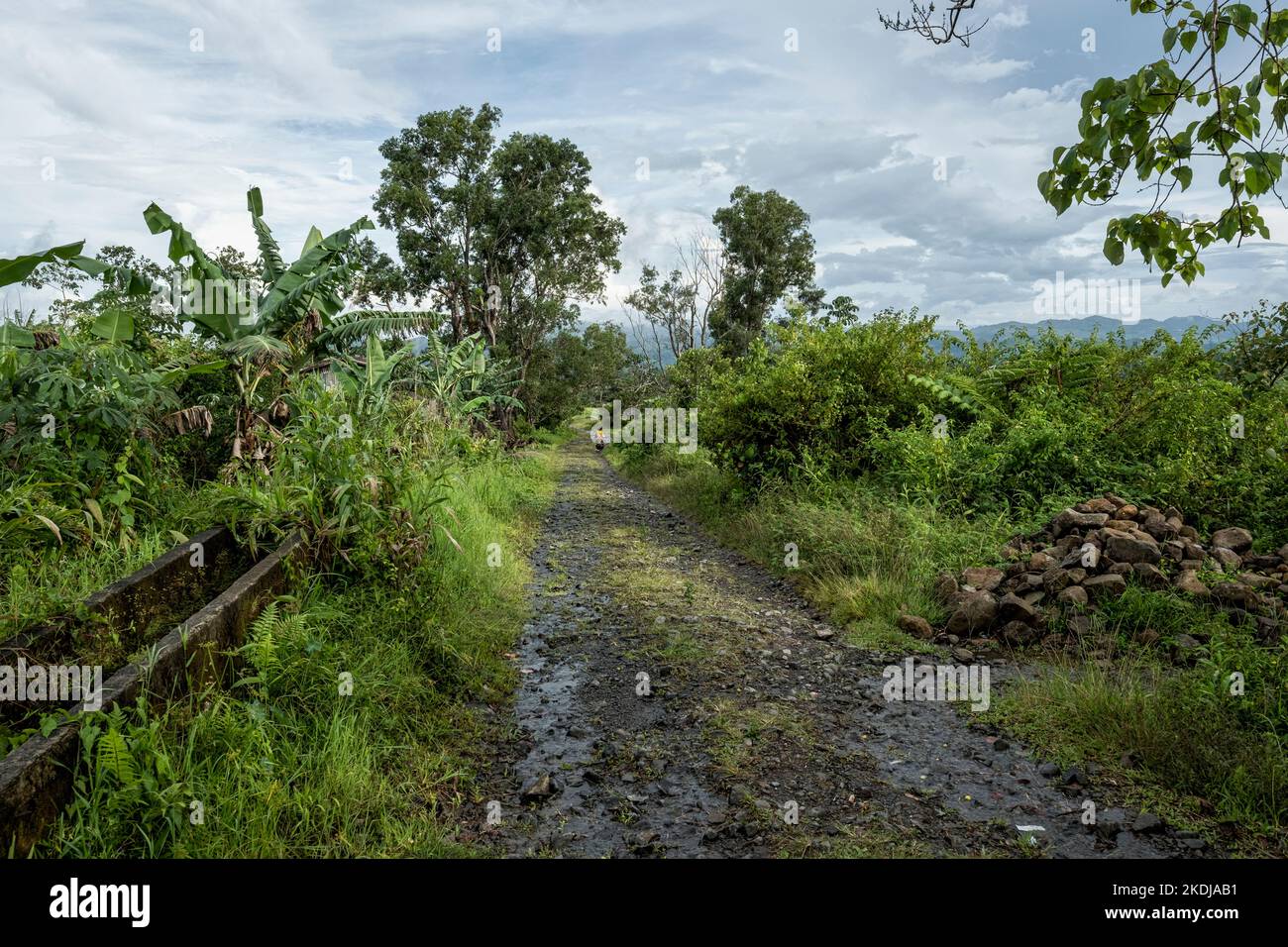 Aetas tribe, Negros island, Philippines Stock Photo - Alamy
