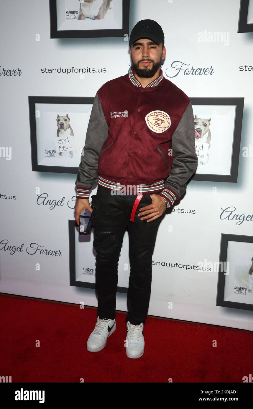 6 November 2022 -Los Angeles, California - Agustin Flores. Stand Up For ...