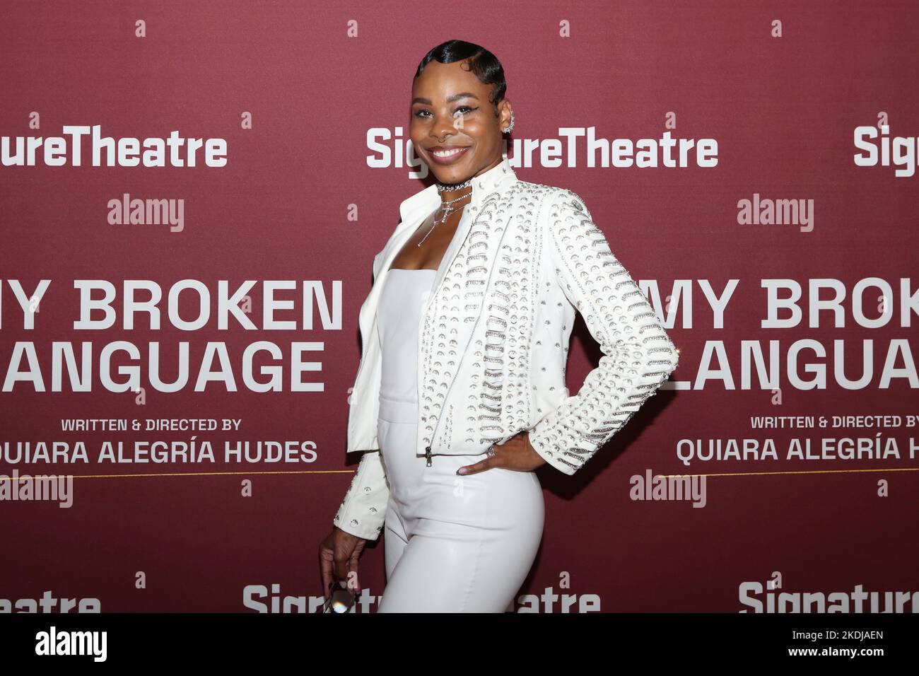 Ebony Williams attends Quiara Alegría Hudes’ My Broken Language Opening ...