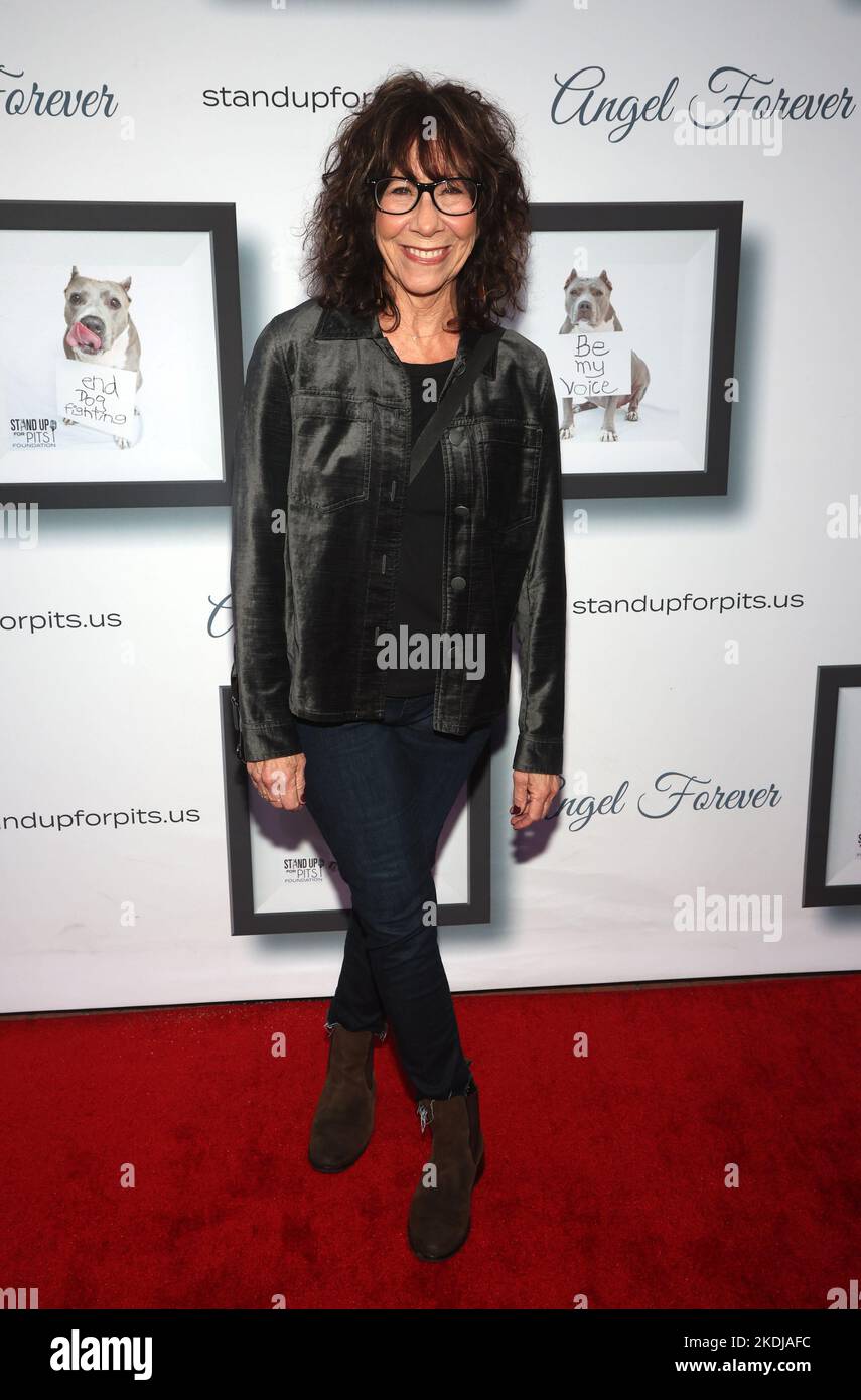 6 november 2022 hi-res stock photography and images - Alamy