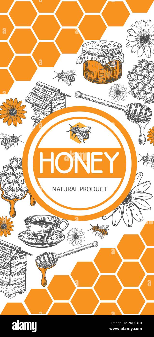 Honey flyer vector vintage vertical label design Stock Vector Image ...