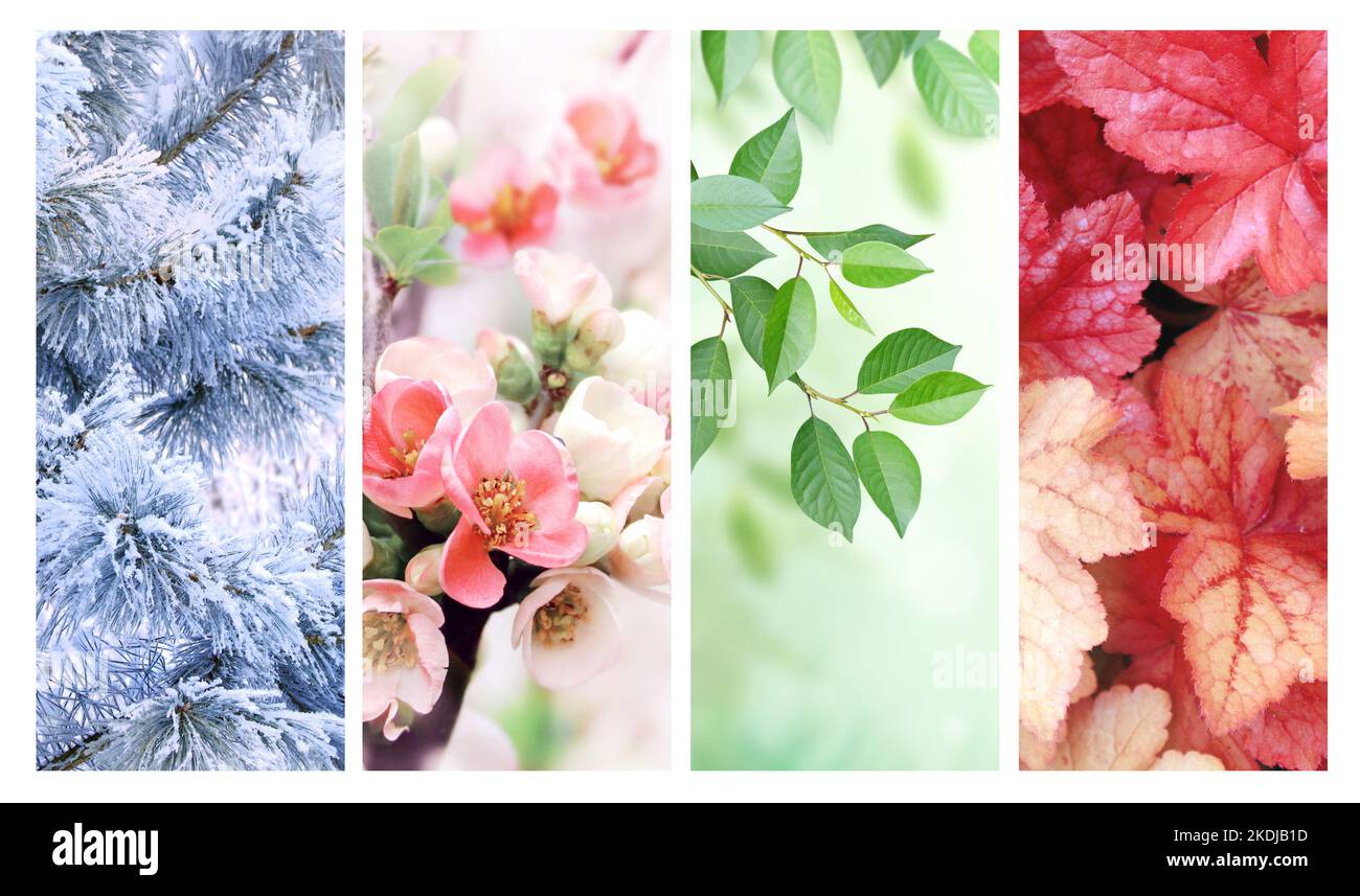 Four seasons of year. Set of vertical nature banners with winter ...