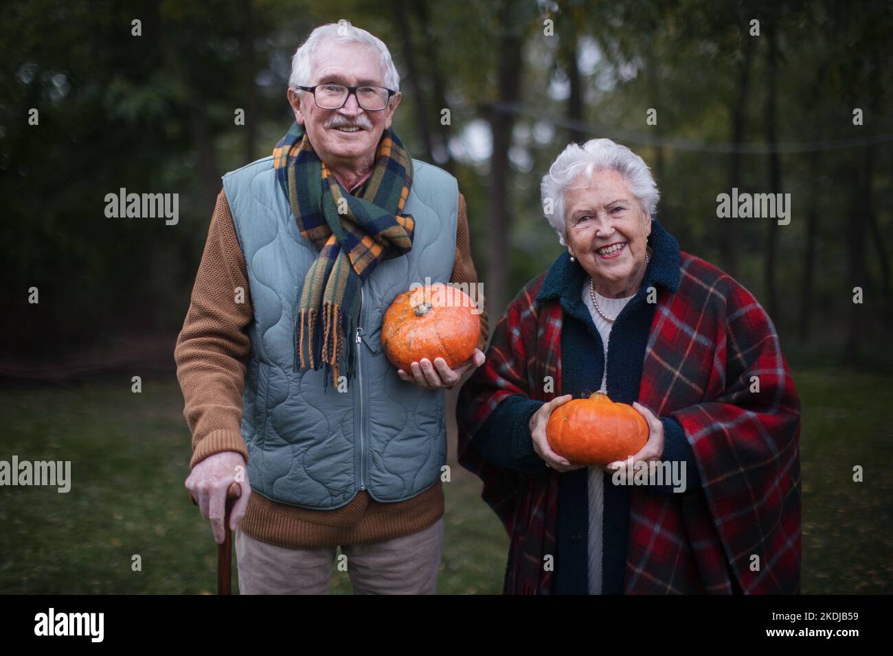 Senior couple with pumpkins in autumn forest Stock Photo - Alamy