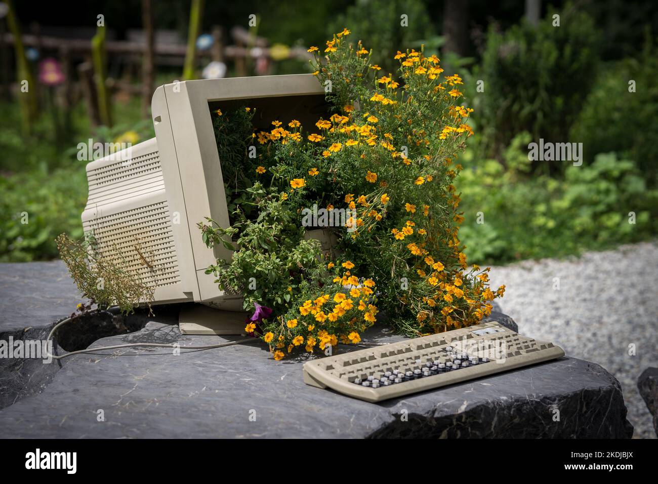 yellow flower in an old computer screen Stock Photo - Alamy