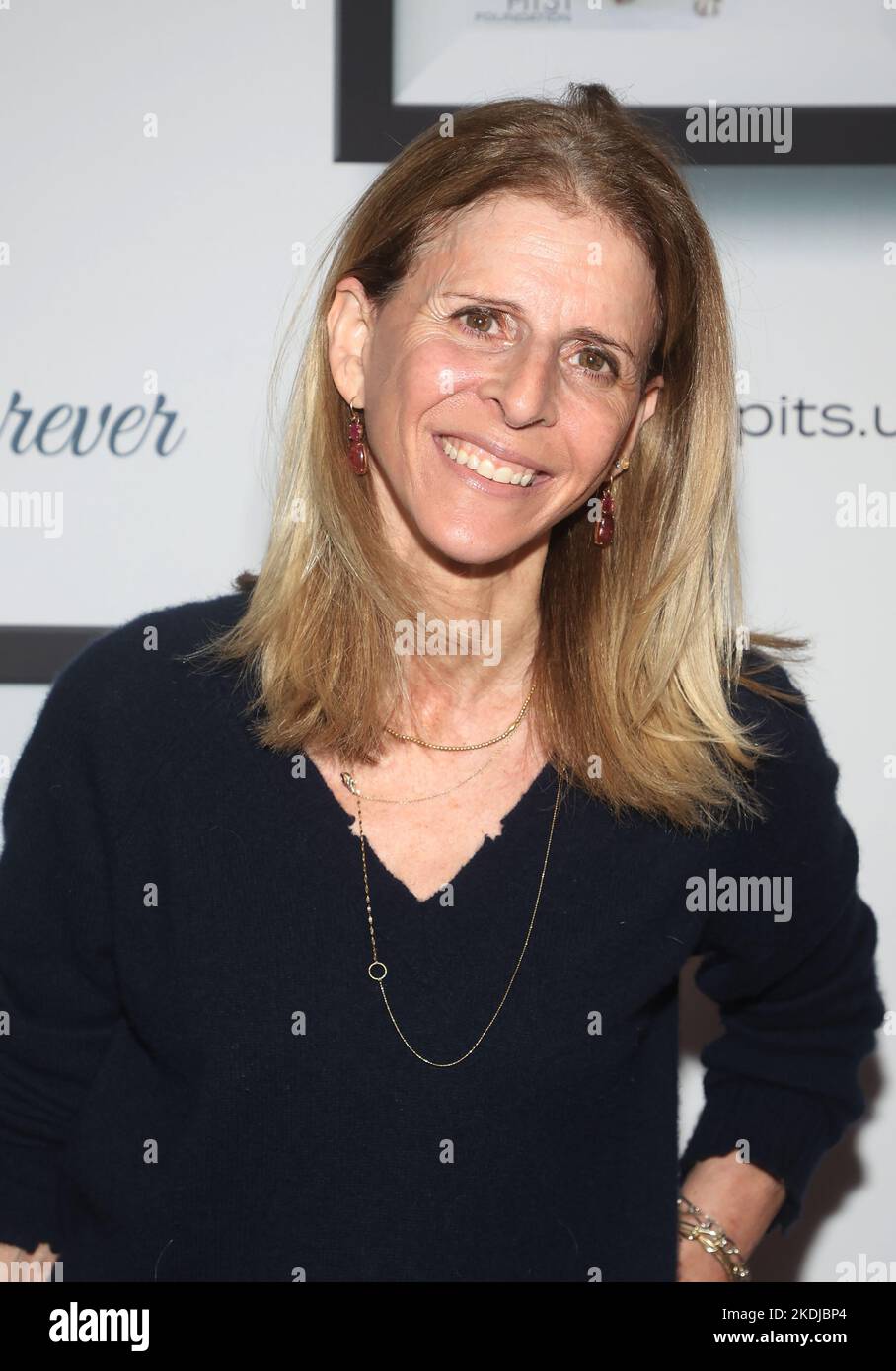Los Angeles, California, USA. 6th Nov, 2022. Amy Ziering. Stand Up For ...