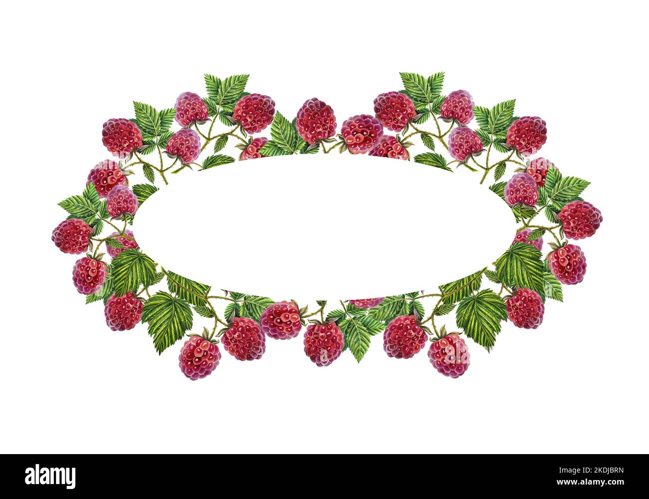 Oval frame with raspberries. Watercolor illustration. For inscriptions ...