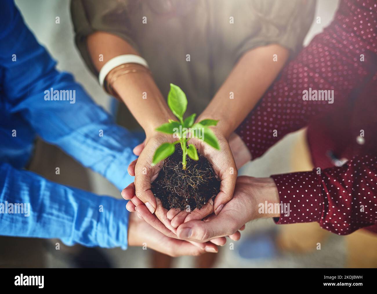 Working together to grow together. High angle shot of a group of ...