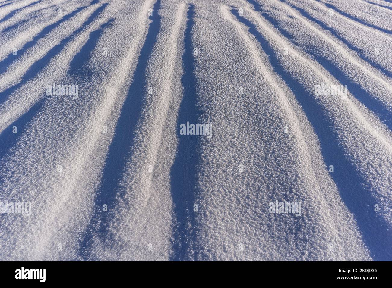 Shadows structure hi-res stock photography and images - Alamy