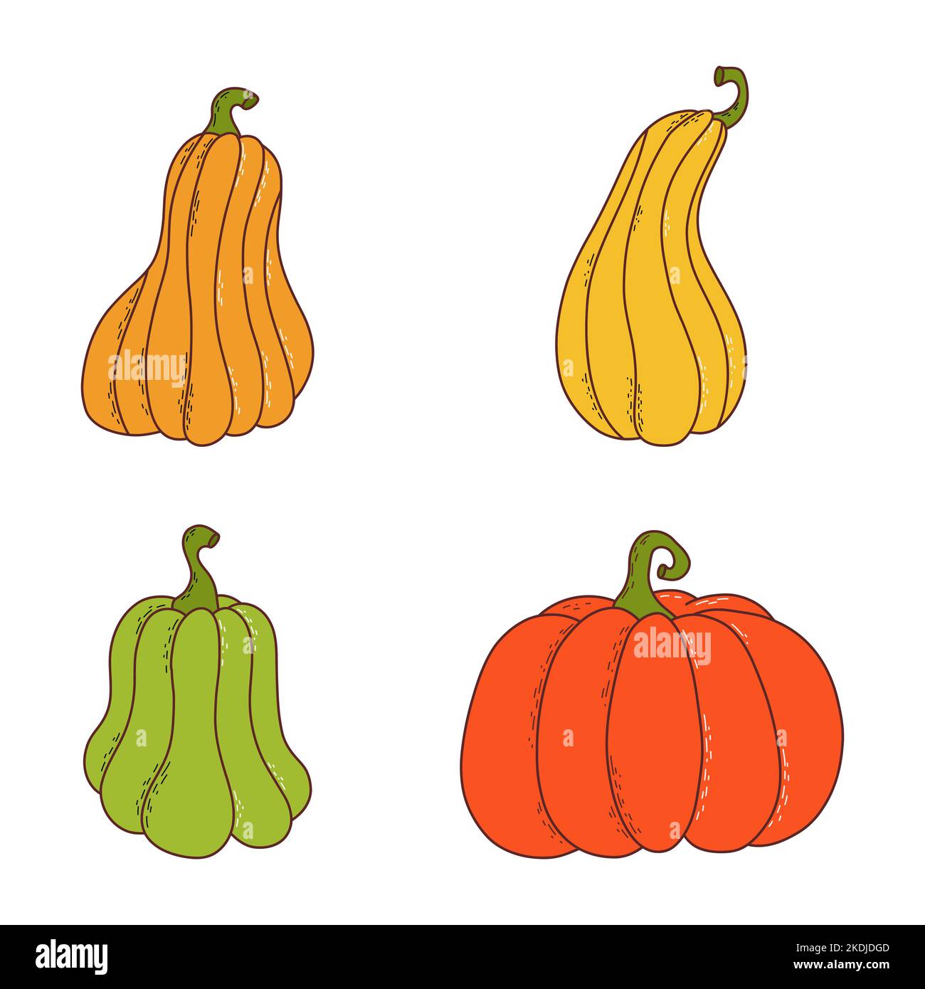 Set of pumpkin of various shapes and colors. Thanksgiving and halloween ...