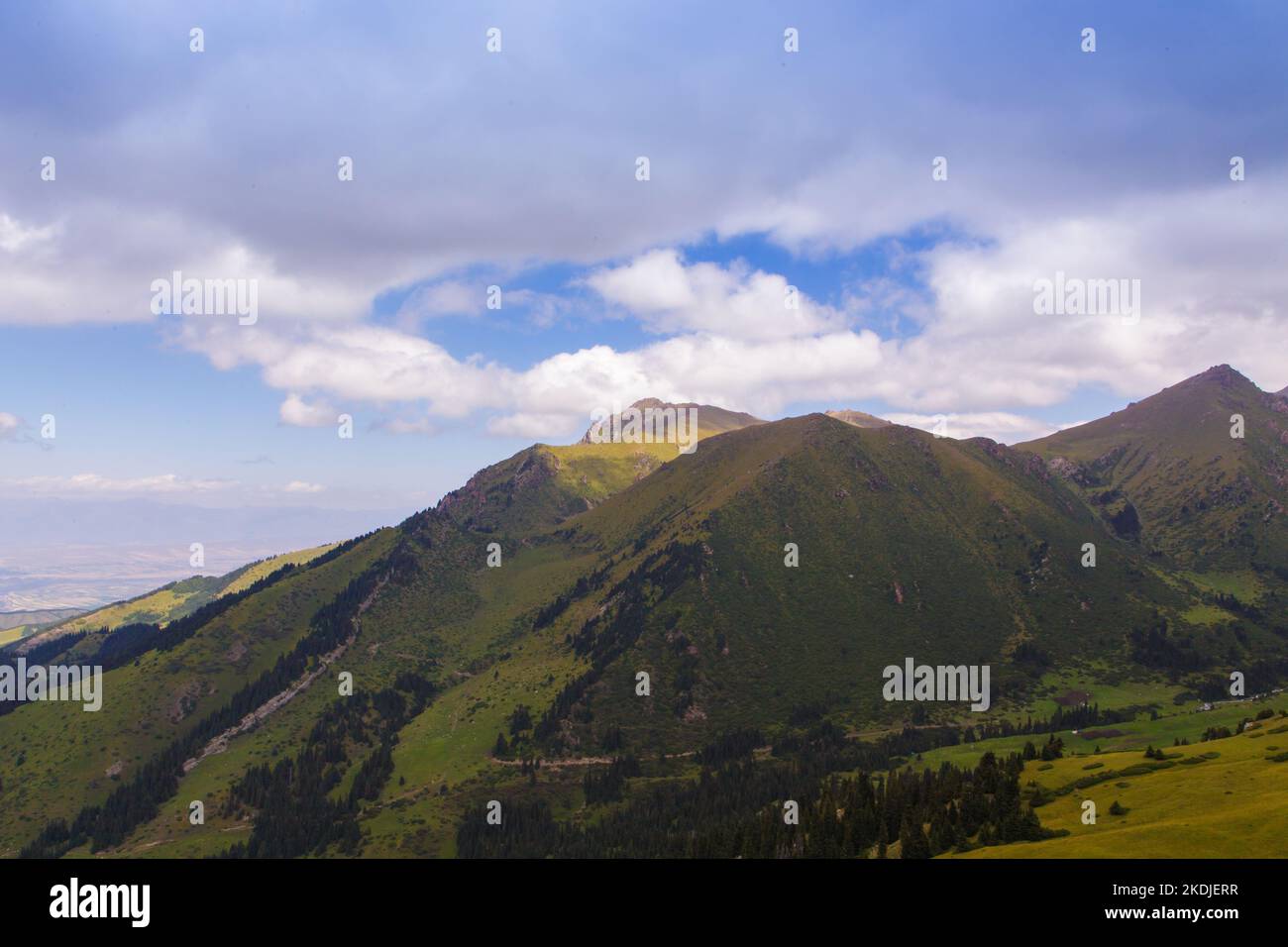 Mountain summer landscape. Snowy mountains and green grass. Peak ...