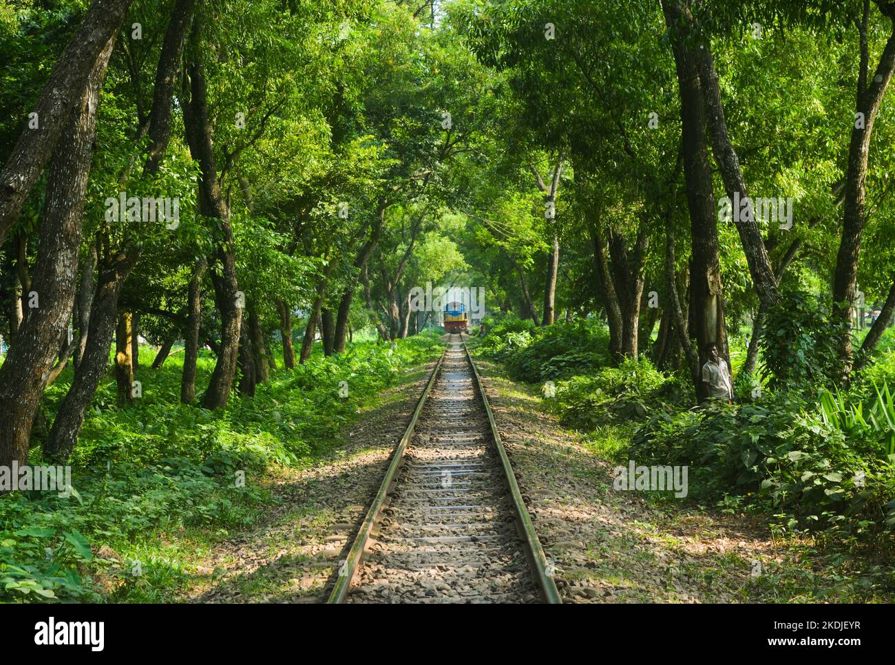 Beauty of Nature, I have taken this photo from Bangladesh Agricultural ...