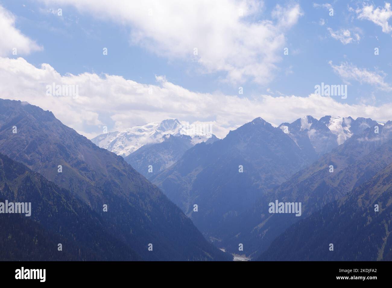 Mountain summer landscape. Snowy mountains and green grass. Peak ...